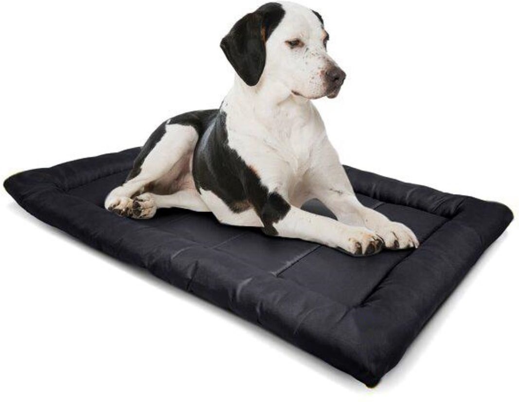 PRECIOUS TAILS Xtra Tuff Dog Crate Mat, Black, Small - Chewy.com