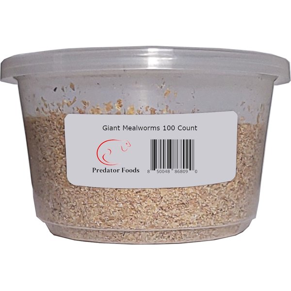 EXOTIC NUTRITION Live Mealworms Reptile Food, Giant, 100 count - Chewy.com