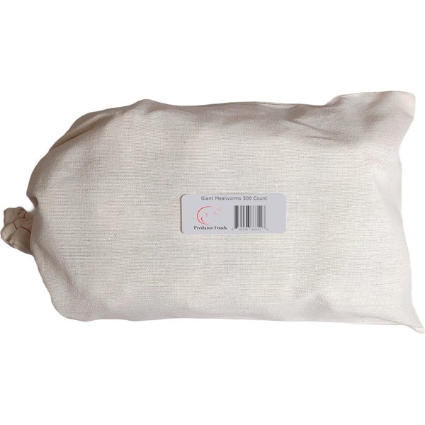 PREDATOR FOODS Live Mealworms, Large, 500 count - Chewy.com