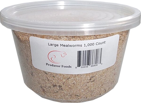 PREDATOR FOODS Live Mealworms, Large, 1,000 count - Chewy.com