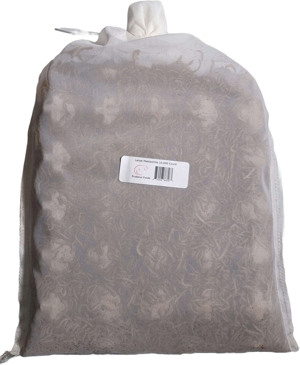 PREDATOR FOODS Live Mealworms, Large, 10,000 count - Chewy.com