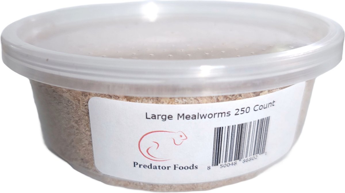 PREDATOR FOODS Live Mealworms, Large, 250 count - Chewy.com
