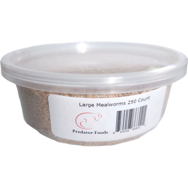 PREDATOR FOODS Live Mealworms, Large, 250 count - Chewy.com