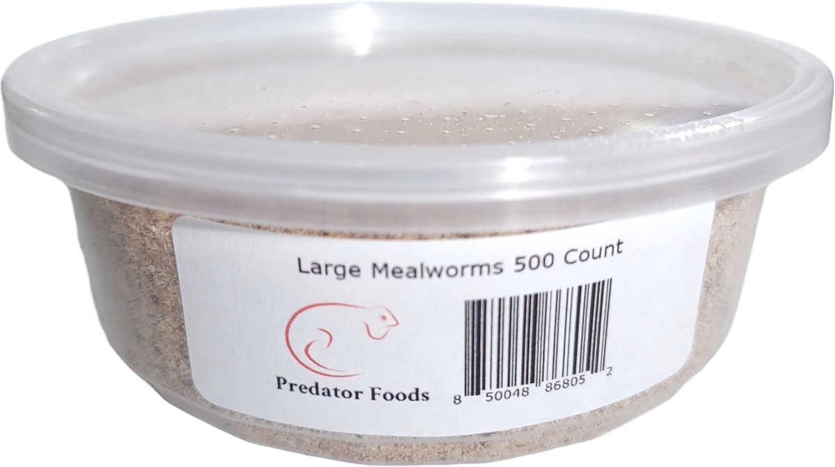 PREDATOR FOODS Live Mealworms, Large, 500 count - Chewy.com