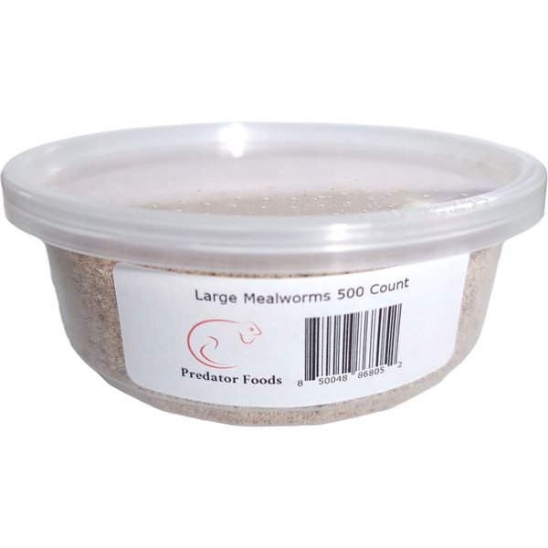 PREDATOR FOODS Live Mealworms, Large, 500 count - Chewy.com