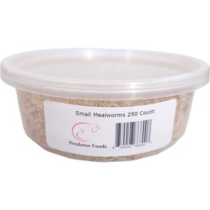 10 Best Snake Foods 2025: According to Reviews | Chewy