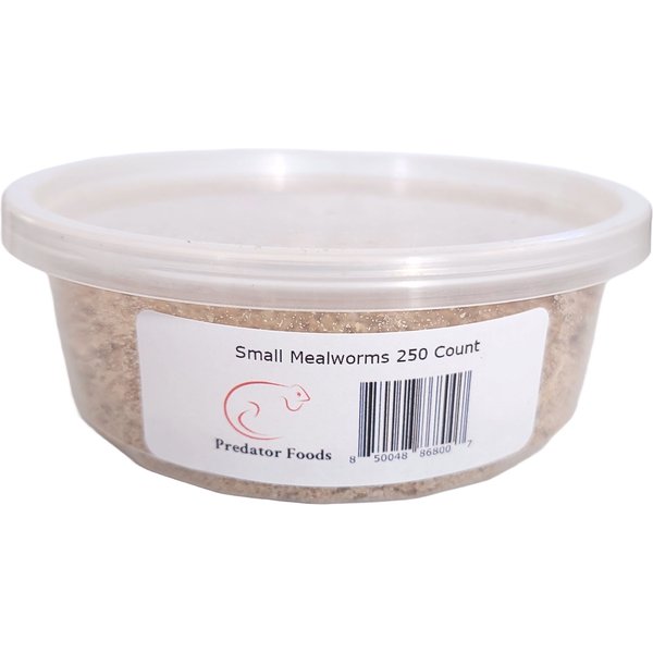 EXOTIC NUTRITION Live Mealworms Reptile Food, Giant, 250 count - Chewy.com