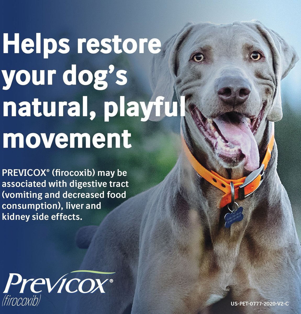 PREVICOX (Firocoxib) Chewable Tablets for Dogs, , 227-mg - Easy Refills ...