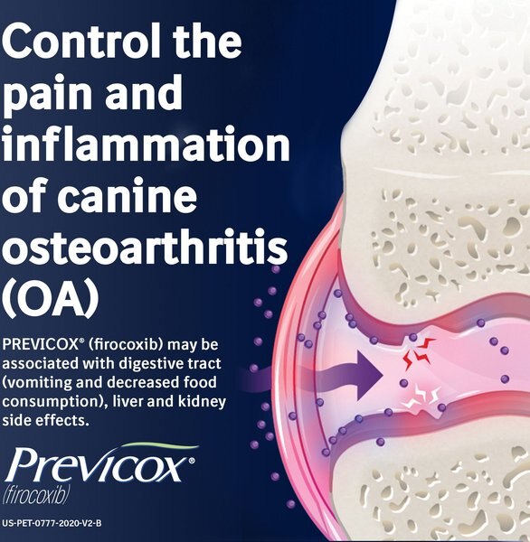 PREVICOX (Firocoxib) Chewable Tablets for Dogs, 57-mg - Easy Refills ...