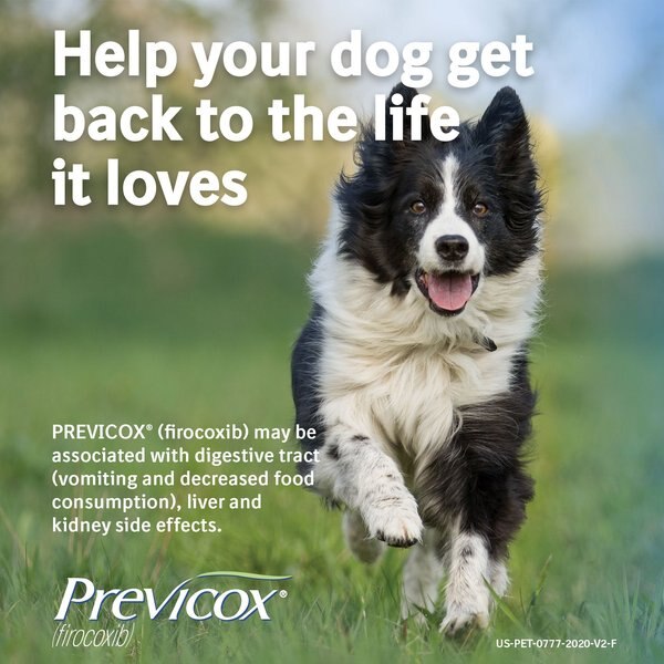 PREVICOX (Firocoxib) Chewable Tablets for Dogs, 57-mg - Easy Refills ...