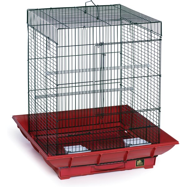 PREVUE PET PRODUCTS Clean Life Playtop Bird Cage, Black - Chewy.com