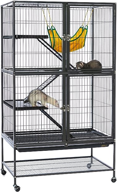 Ferret Supplies: Food, Cages, Toys & More - Low Prices (Ships Free) | Chewy