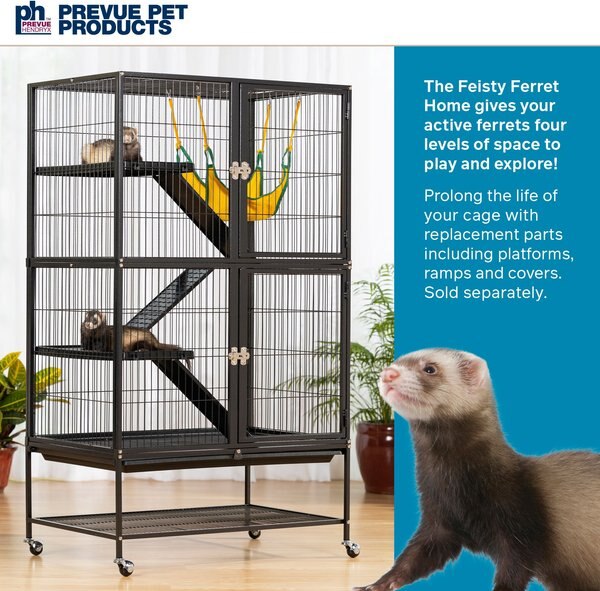 PREVUE PET PRODUCTS Feisty Ferret Home, Black Hammertone - Chewy.com