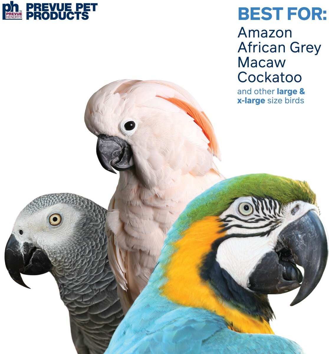 PREVUE PET PRODUCTS Naturals Munch N Crunch Bird Toy, Natural - Chewy.com