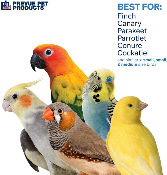 PREVUE PET PRODUCTS Playfuls Barn Dance Bird Toy, Multicolor - Chewy.com