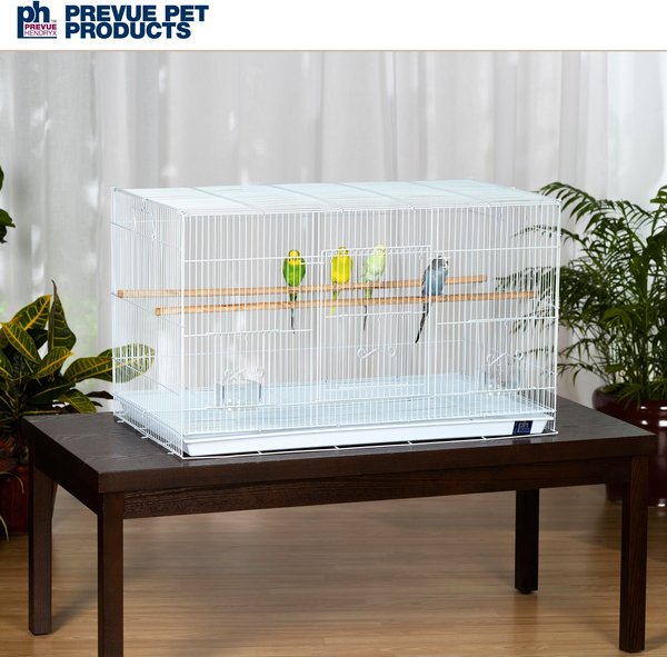 PREVUE PET PRODUCTS Small Bird Flight Cage, White - Chewy.com