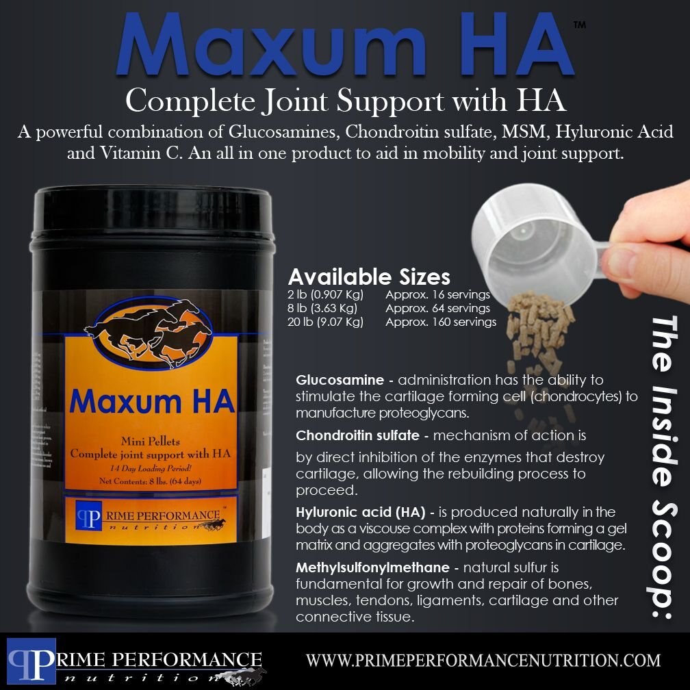 PRIME PERFORMANCE NUTRITION Maxum HA Complete Joint Support Pellets ...