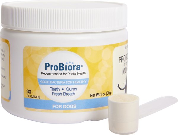 PROBIORA Probiotic Dog Oral Care Powder, 1-oz bottle - Chewy.com