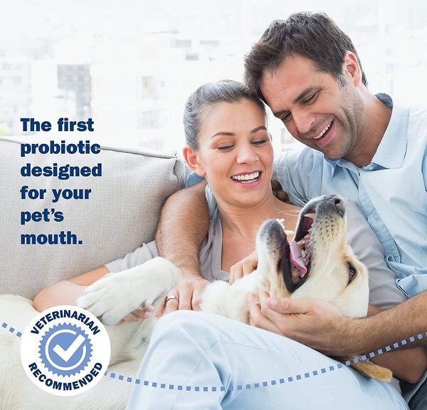 PROBIORA Probiotic Dog Oral Care Powder, 1-oz bottle - Chewy.com