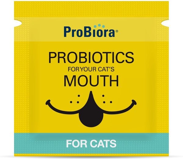 PROBIORA Probiotic Oral Care Cat Supplement, 1-oz bag - Chewy.com