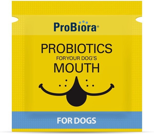 PROBIORA Probiotic Oral Care Dog Supplement, 1-oz bag - Chewy.com
