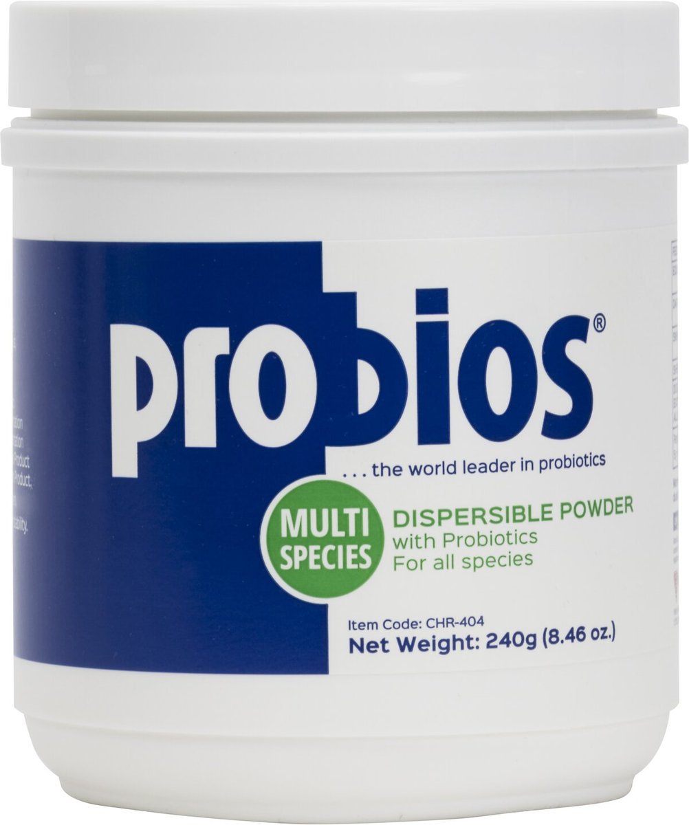 PROBIOS Dispersible Powder Supplement, 240-g jar - Chewy.com