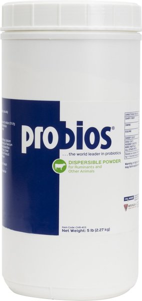 PROBIOS Dispersible Powder Supplement, 5-lb jar - Chewy.com