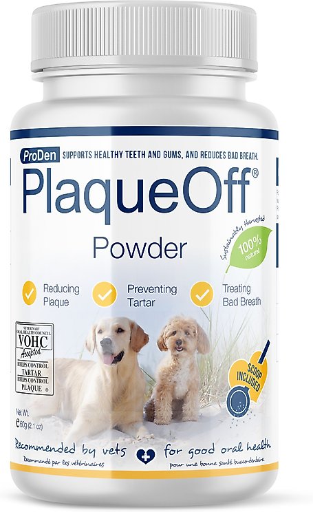 Dog Dental Care & Cleaning Products (Free Shipping) | Chewy