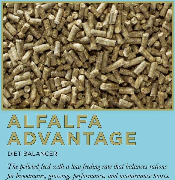 PROELITE Alfalfa Advantage Ultra Premium Equine Diet Balancer Horse ...