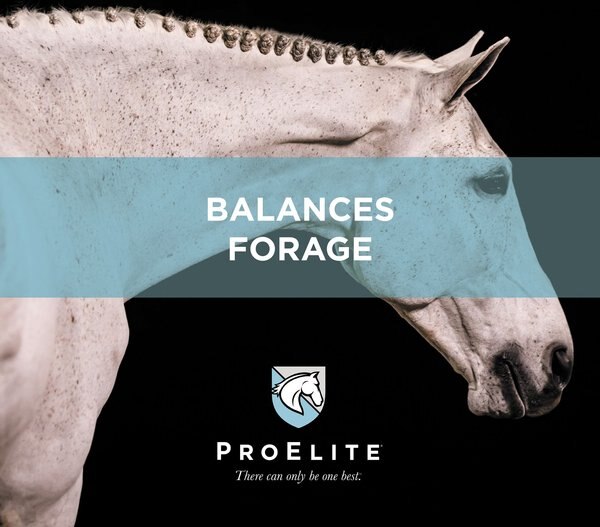 PROELITE Grass Advantage Ultra Premium Equine Diet Balancer Horse Feed ...