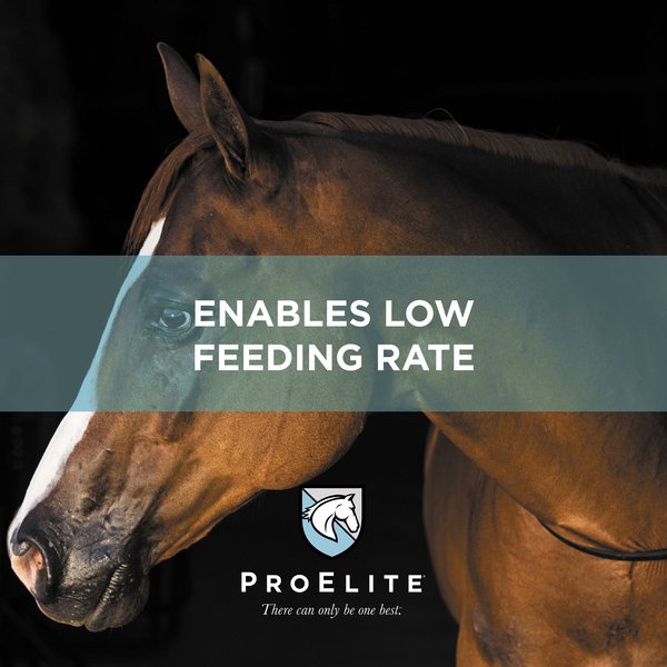 PROELITE Grass Advantage Ultra Premium Equine Diet Balancer Horse Feed ...