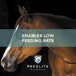 PROELITE Grass Advantage Ultra Premium Equine Diet Balancer Horse Feed ...