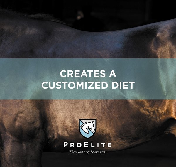 PROELITE Grass Advantage Ultra Premium Equine Diet Balancer Horse Feed ...