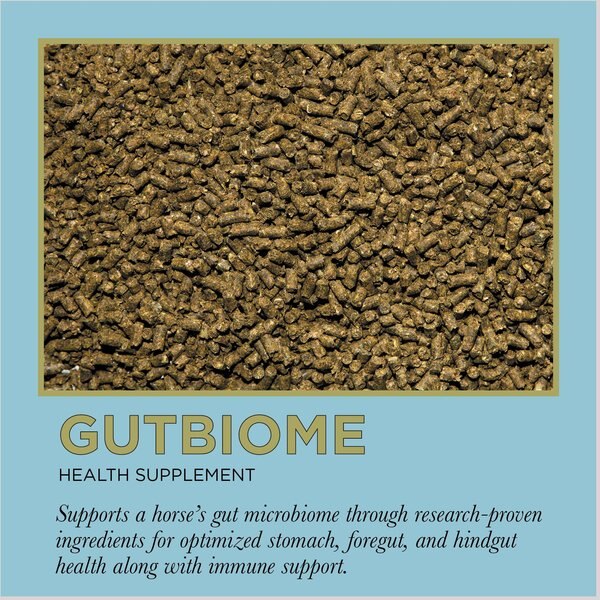 PROELITE GutBiome Gut Microbiome & Immunity Support Horse Supplement, 3 ...