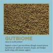 PROELITE GutBiome Gut Microbiome & Immunity Support Horse Supplement, 3 ...