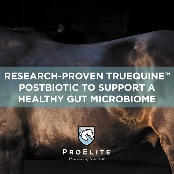 PROELITE GutBiome Gut Microbiome & Immunity Support Horse Supplement, 3 ...