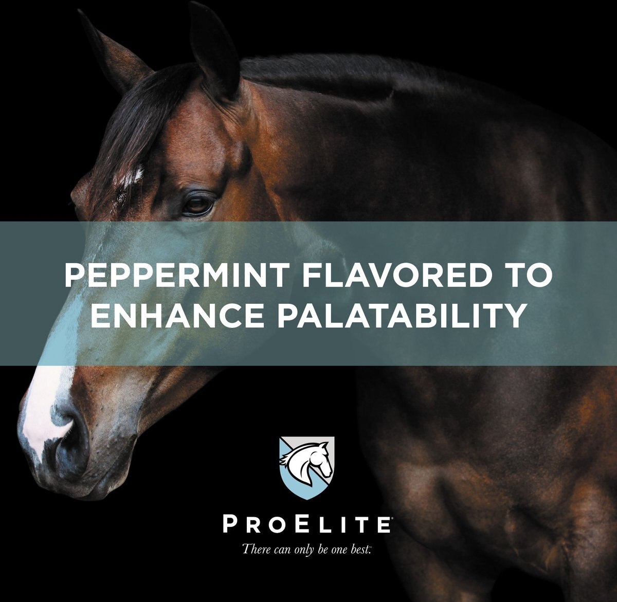 PROELITE GutBiome Gut Microbiome & Immunity Support Horse Supplement, 3 ...