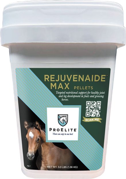 ProElite Feed and Supplements for Horses - Free shipping | Chewy