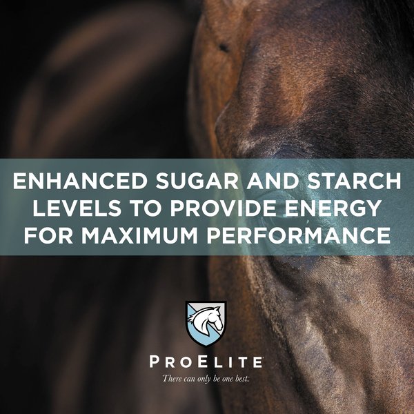 PROELITE Sport Ultra Premium Enhanced Horse Feed, 50-lb bag - Chewy.com