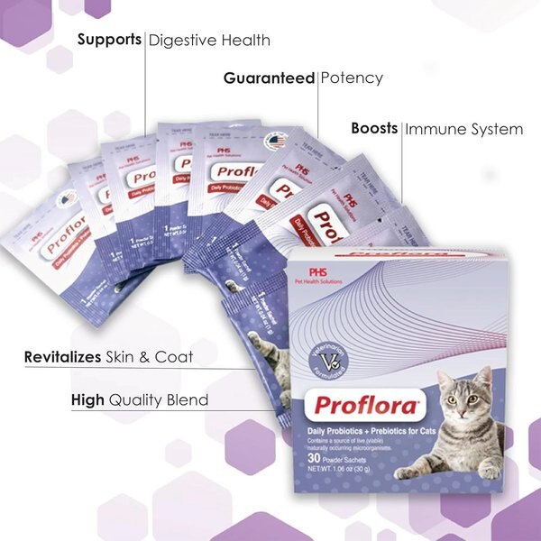 PROFLORA Powder Digestive Supplement for Cats, 30 servings - Chewy.com
