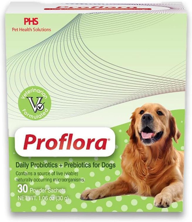 PROFLORA Powder Digestive Supplement for Dogs, 30 servings - Chewy.com