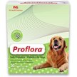 PROFLORA Powder Digestive Supplement for Dogs, 30 servings - Chewy.com