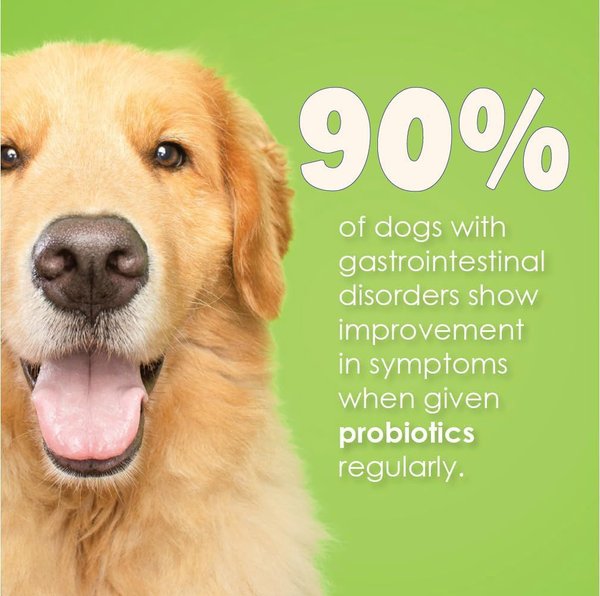 PROFLORA Powder Digestive Supplement for Dogs, 30 servings - Chewy.com