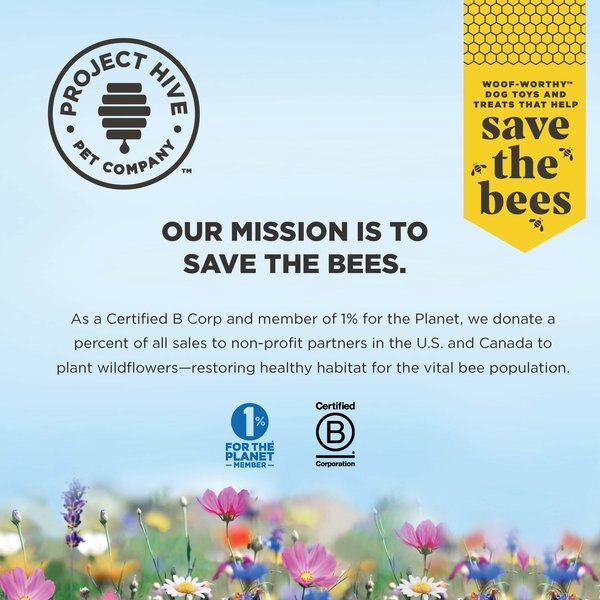 PROJECT HIVE PET COMPANY Looped Ball Dog Toy, Medium, 2 count, Green ...