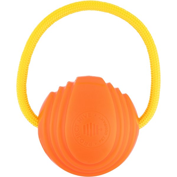 PROJECT HIVE PET COMPANY Looped Ball Dog Toy, Orange, Large - Chewy.com