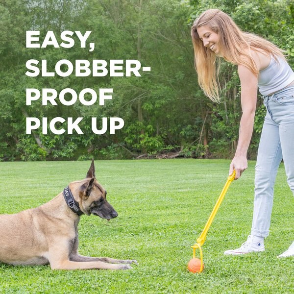 PROJECT HIVE PET COMPANY Looped Ball Dog Toy, Orange, Large - Chewy.com