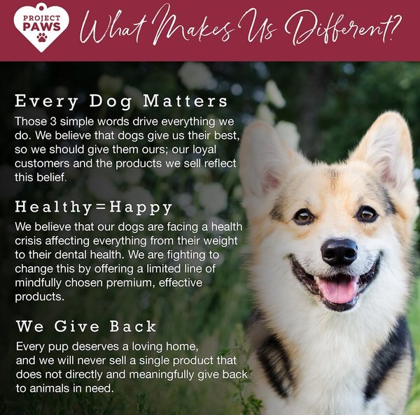 PROJECT PAWS Cranberry Plus D-Mannose Urinary Tract Support Chewable ...