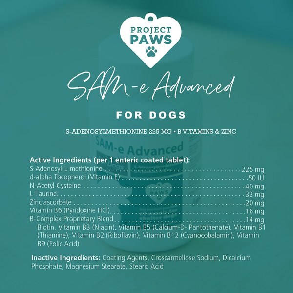 PROJECT PAWS SAM-e Advanced Liver Support Dog Supplement, 60 count ...