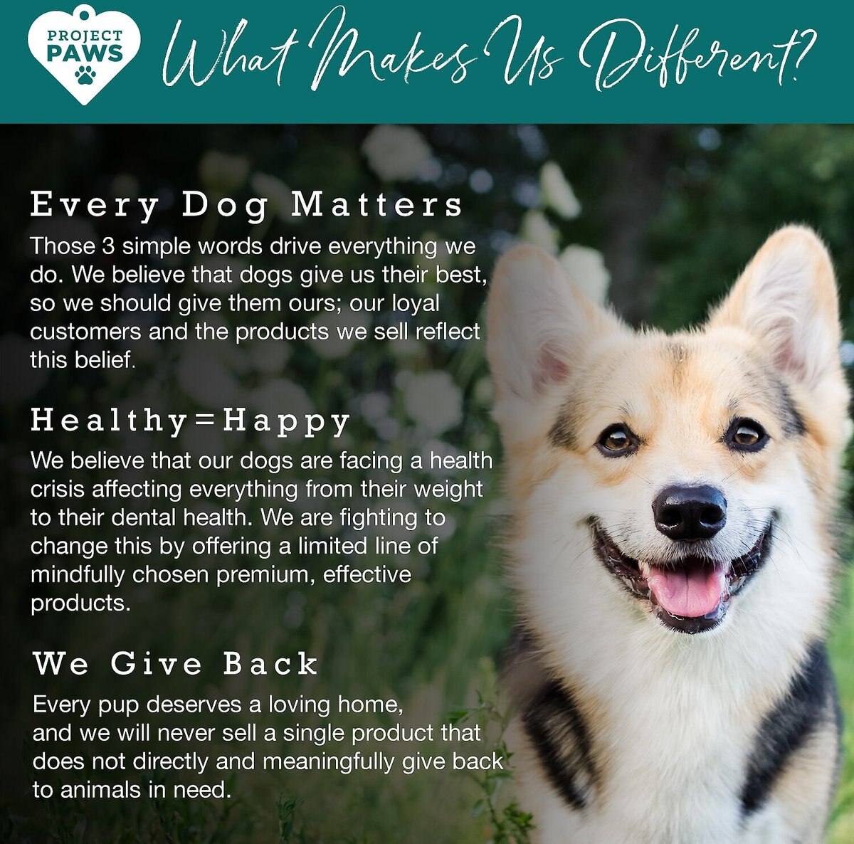 PROJECT PAWS SAM-e Advanced Liver Support Dog Supplement, 60 count ...