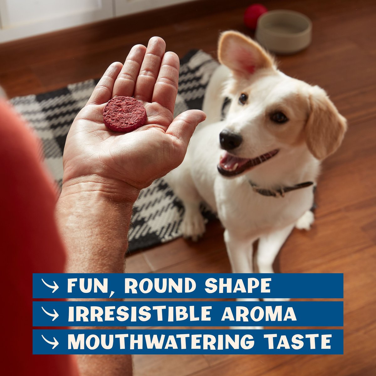 PUP-PERONI Rounds Beef Brisket Dog Treats, 5-oz bag, case of 8 - Chewy.com